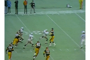 Immaculate Reception Catch